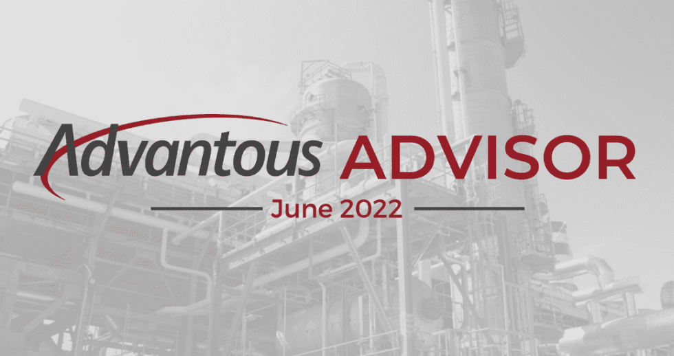 ADVANTOUS ADVISOR JUNE 2022 - Advantous